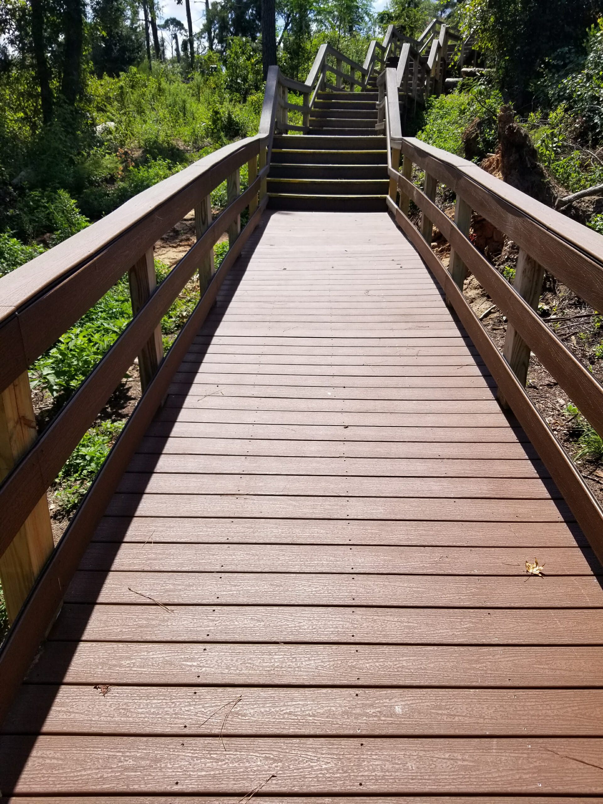 Spring Creek Boardwalk Repair Project - Jackson County, Florida