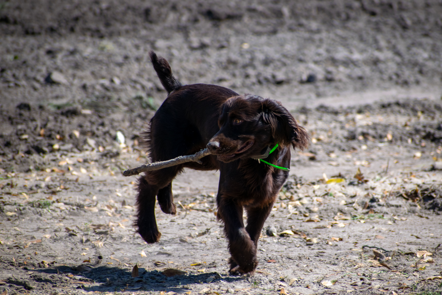 Jackson County Fire Rescue Fundraiser - Jackson County, Florida