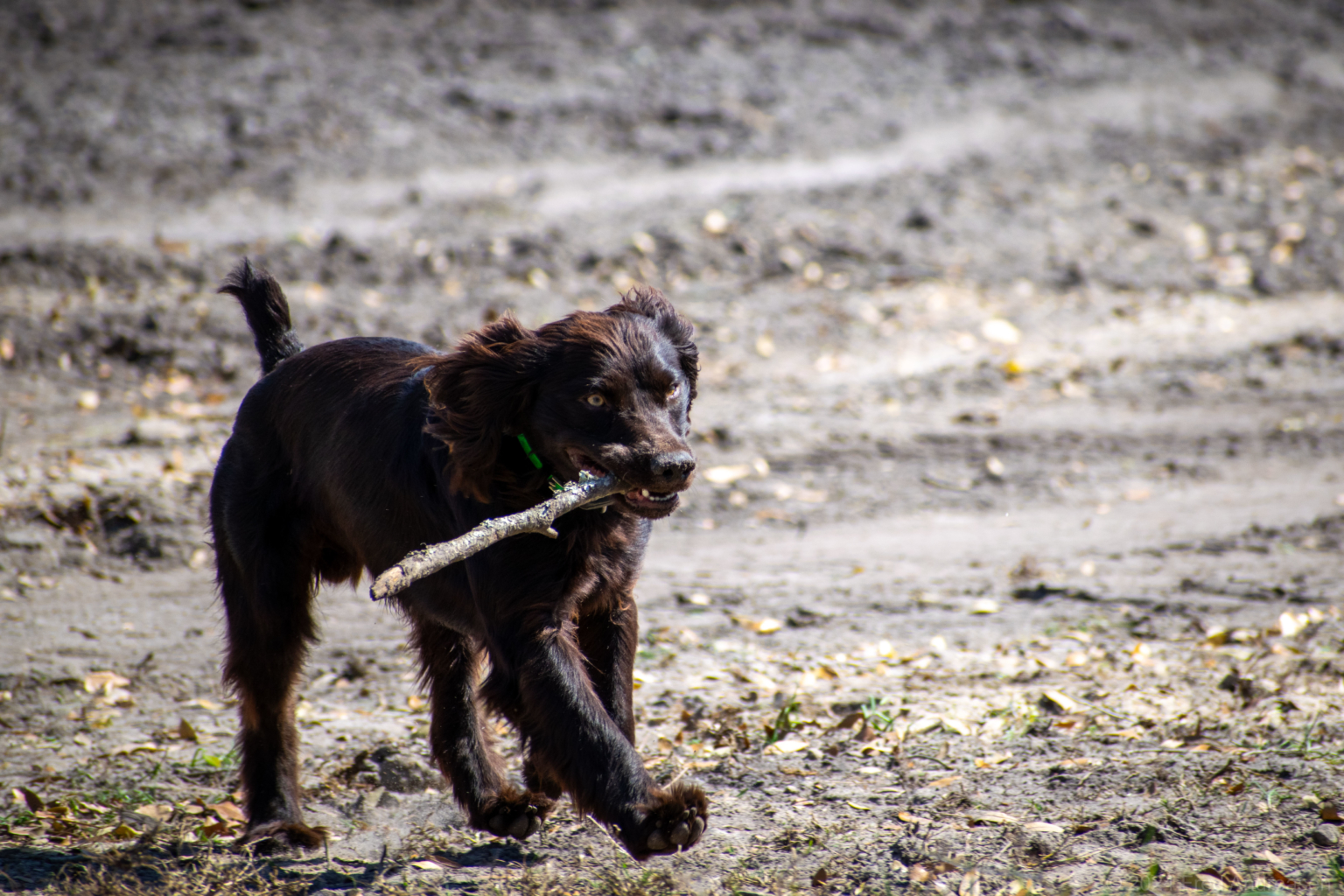 Jackson County Fire Rescue Fundraiser - Jackson County, Florida
