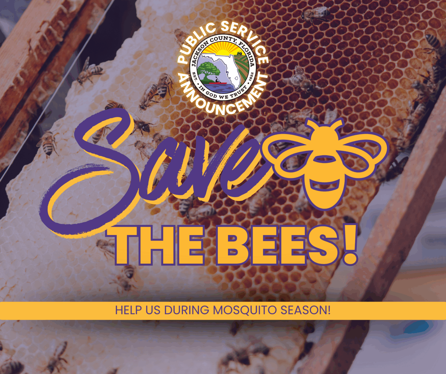 Help Us Protect the Bees! - Jackson County, Florida